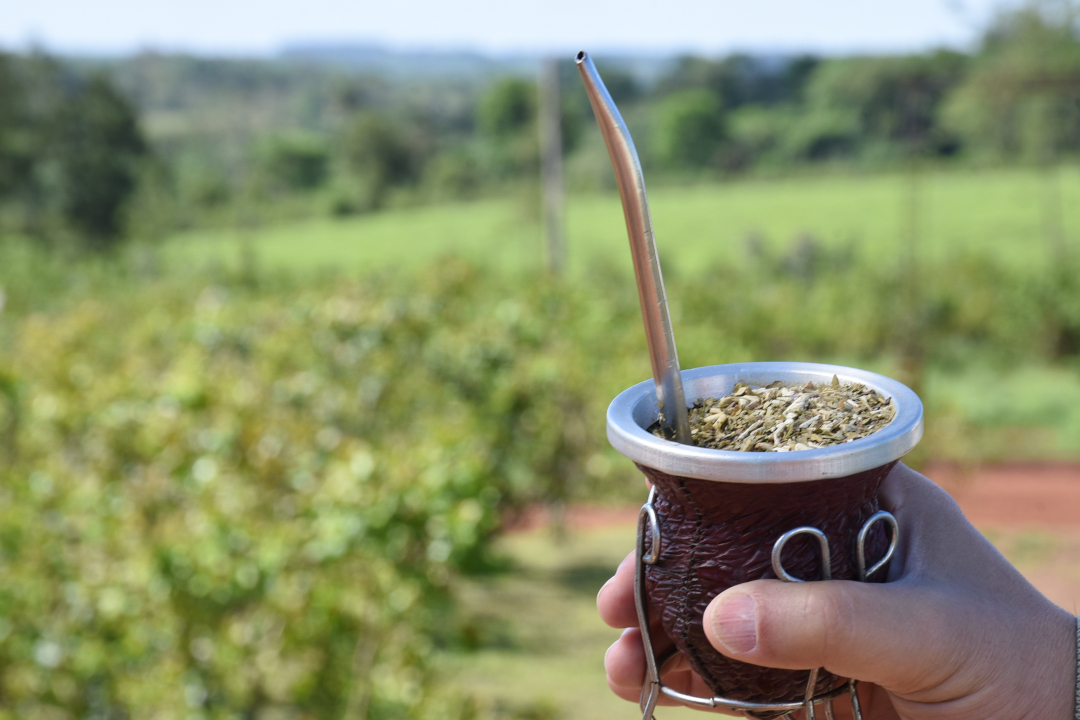 Everything You Need to Know About Drinking Mate – SPANISH MINDSET ...